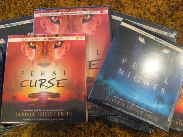 Actors Interview: Todd Haberkorn, Amy McFadden, Cristina Panfilio ...