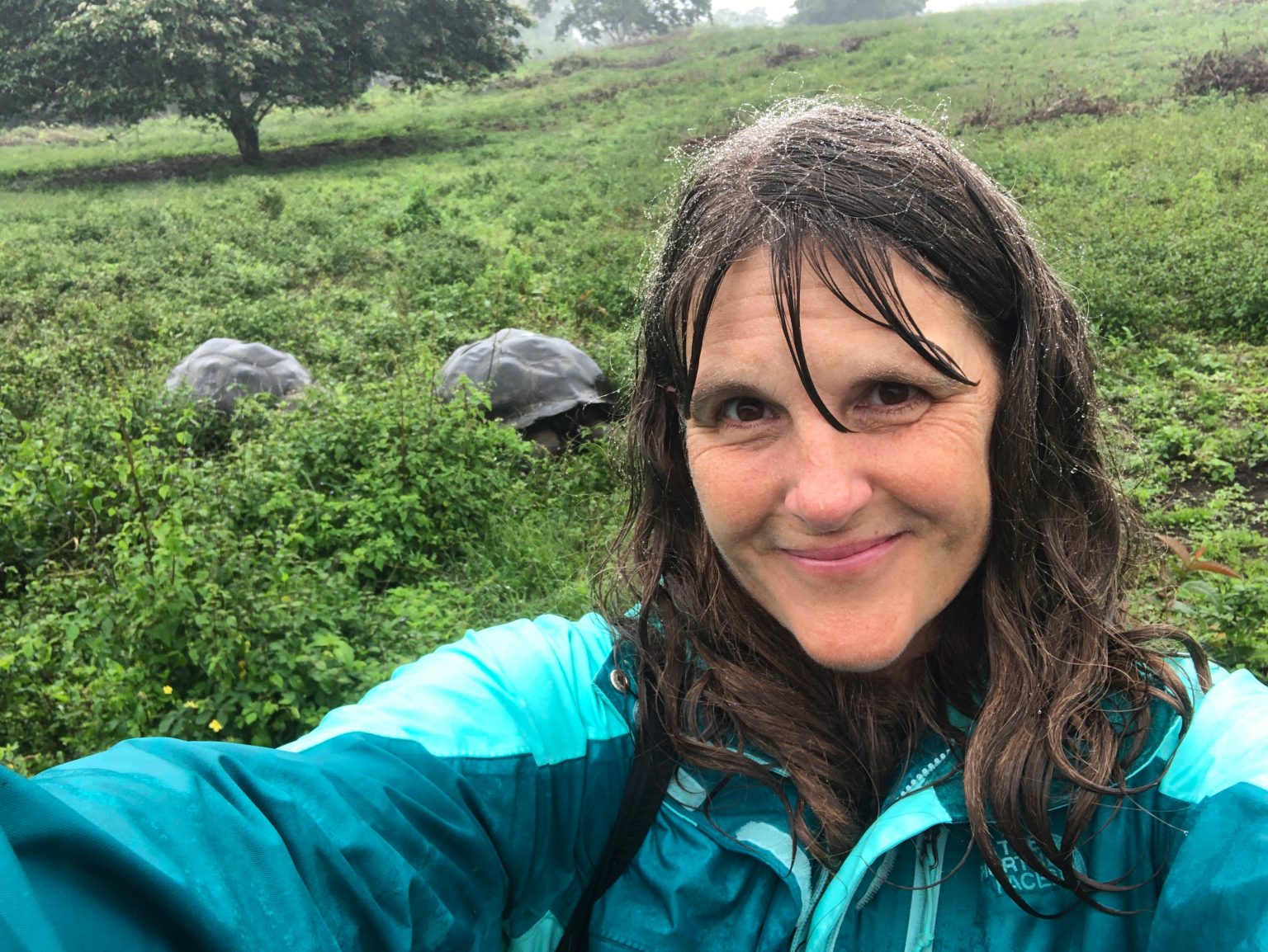 Guest Post: Kate Messner on The Secrets to Writing Lots of Books ...