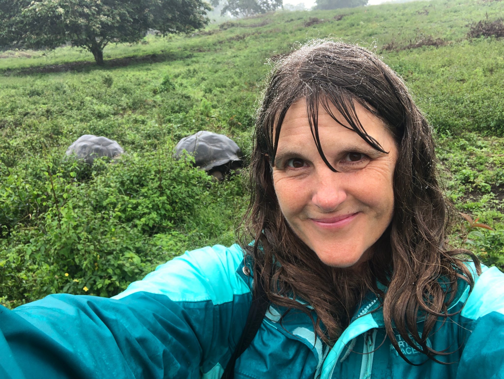 Guest Post: Kate Messner on The Secrets to Writing Lots of Books ...