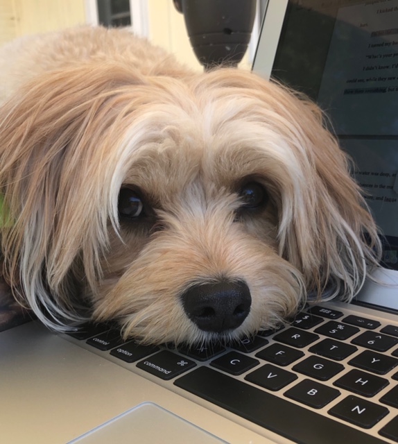 Heart and Spirit: An Interview with Ami Polonsky - Cynthia Leitich Smith