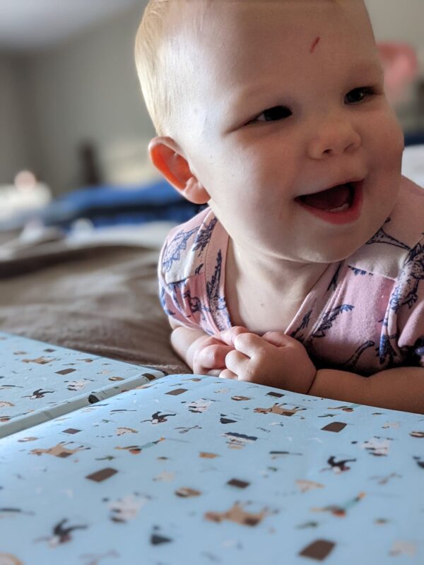 Author-Illustrator Interview: Tim Kleyn Shares His Inspiration ...