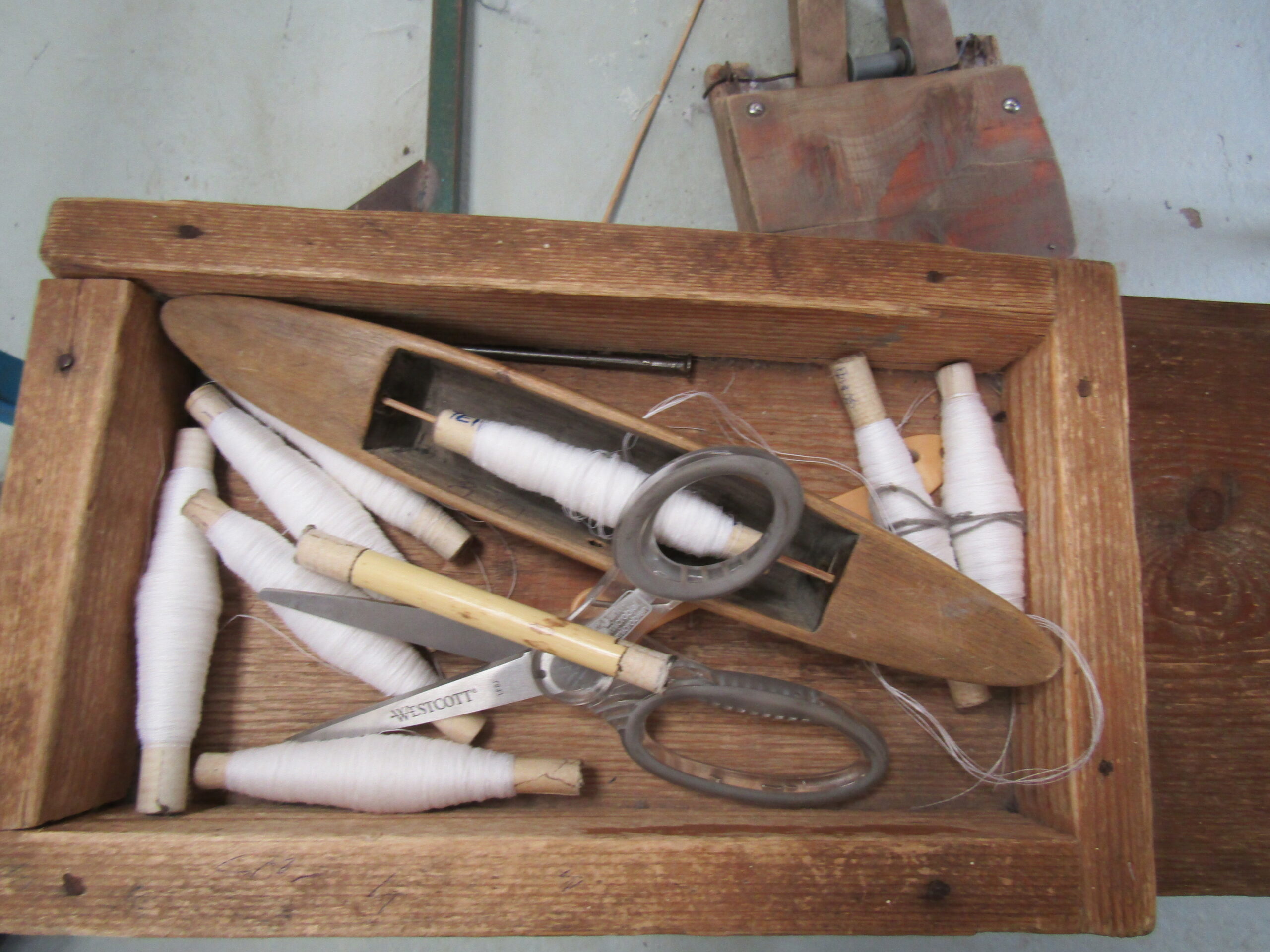 New Voices: Sara Holly Ackerman & Elle Gonzales Rose Celebrate Debuts - Cynthia Leitich Smith